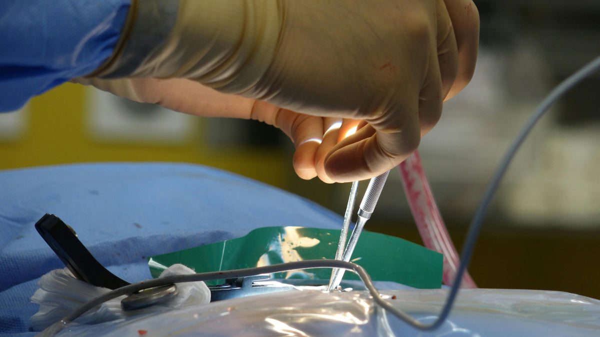 The Heart of the Matter: Mastering Suturing in Cardiovascular Surgery ...